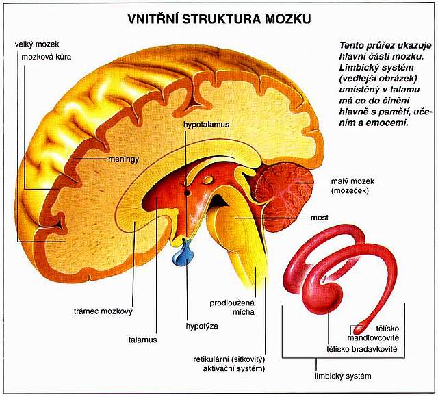 VŠE = vibrace | Propator - PRAOTEC